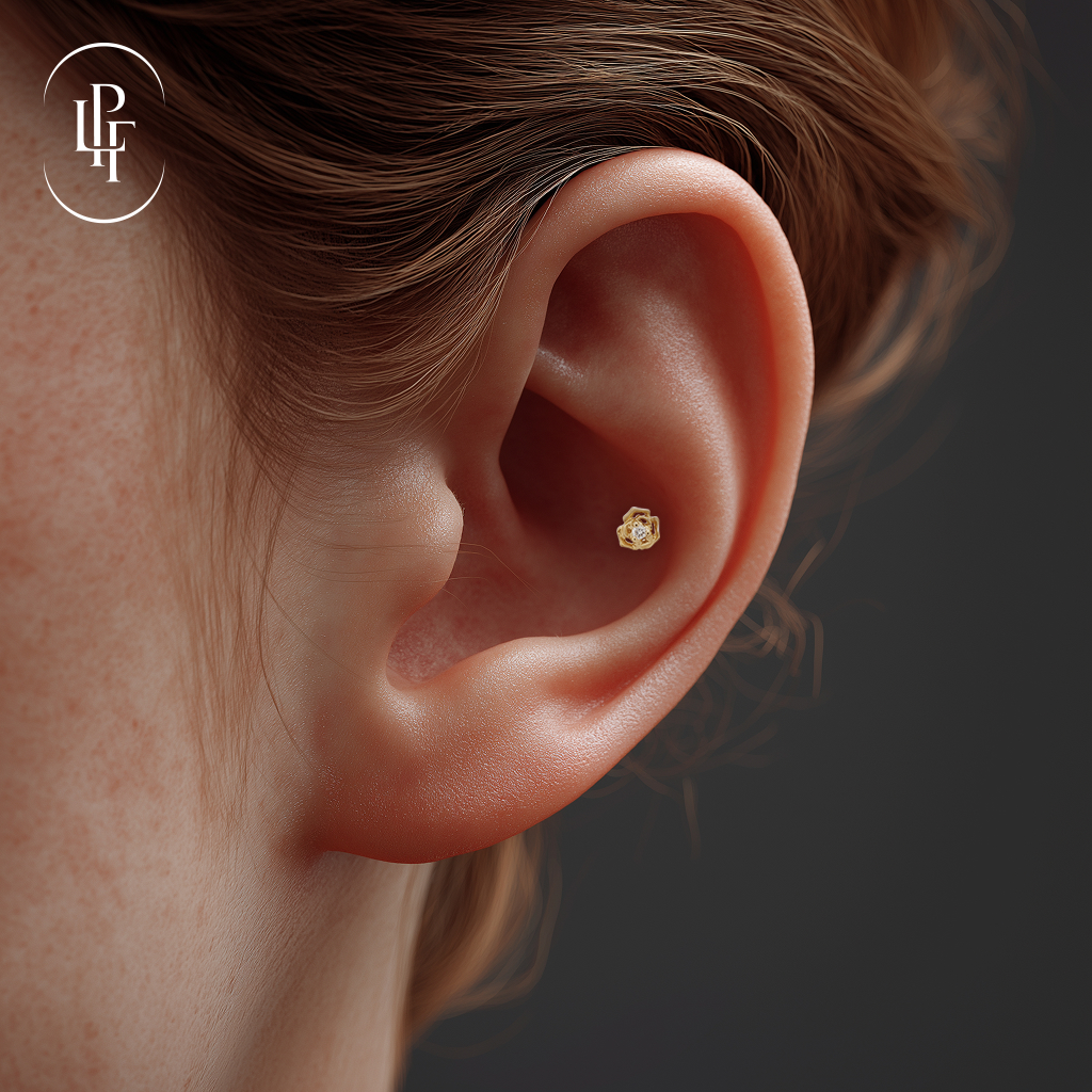 Le piercing de conch en Or 18 carats : L'élégance absolue au creux de l ...
